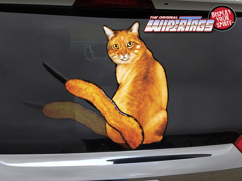 Real Looking Cats