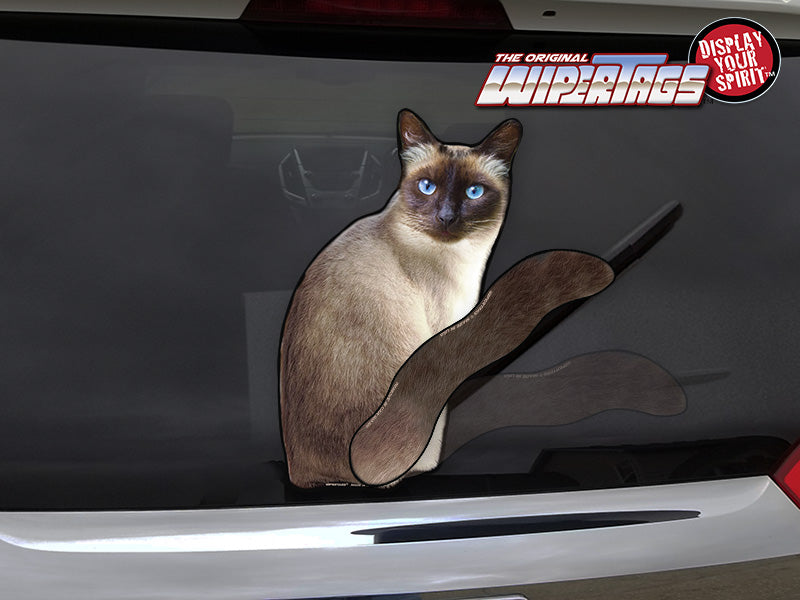 Real Looking Cats