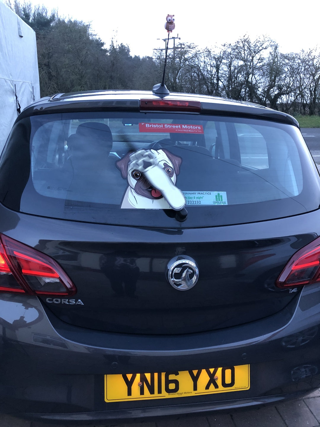 Pugly Rescue Dog Waving Paw WiperTags attach to rear wiper blades ...